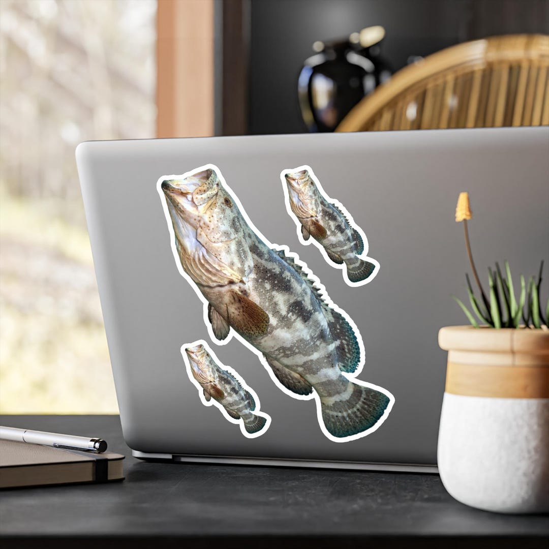 Goliath Grouper Lover Kiss-cut Vinyl Decals, Unique Stickers for Water ...