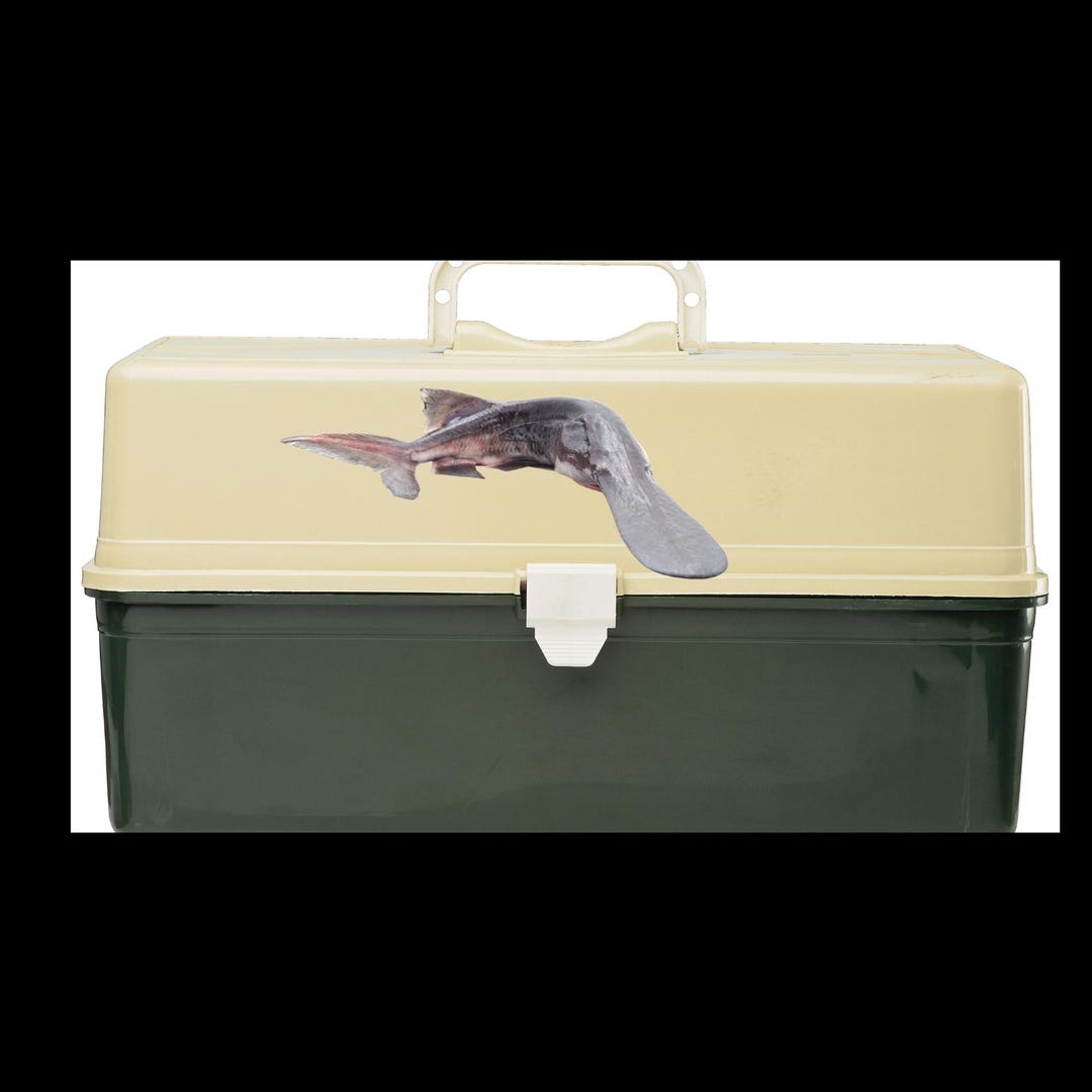 Paddlefish Fishing Decal – Waterproof Vinyl Sticker for Boats, Tackle ...