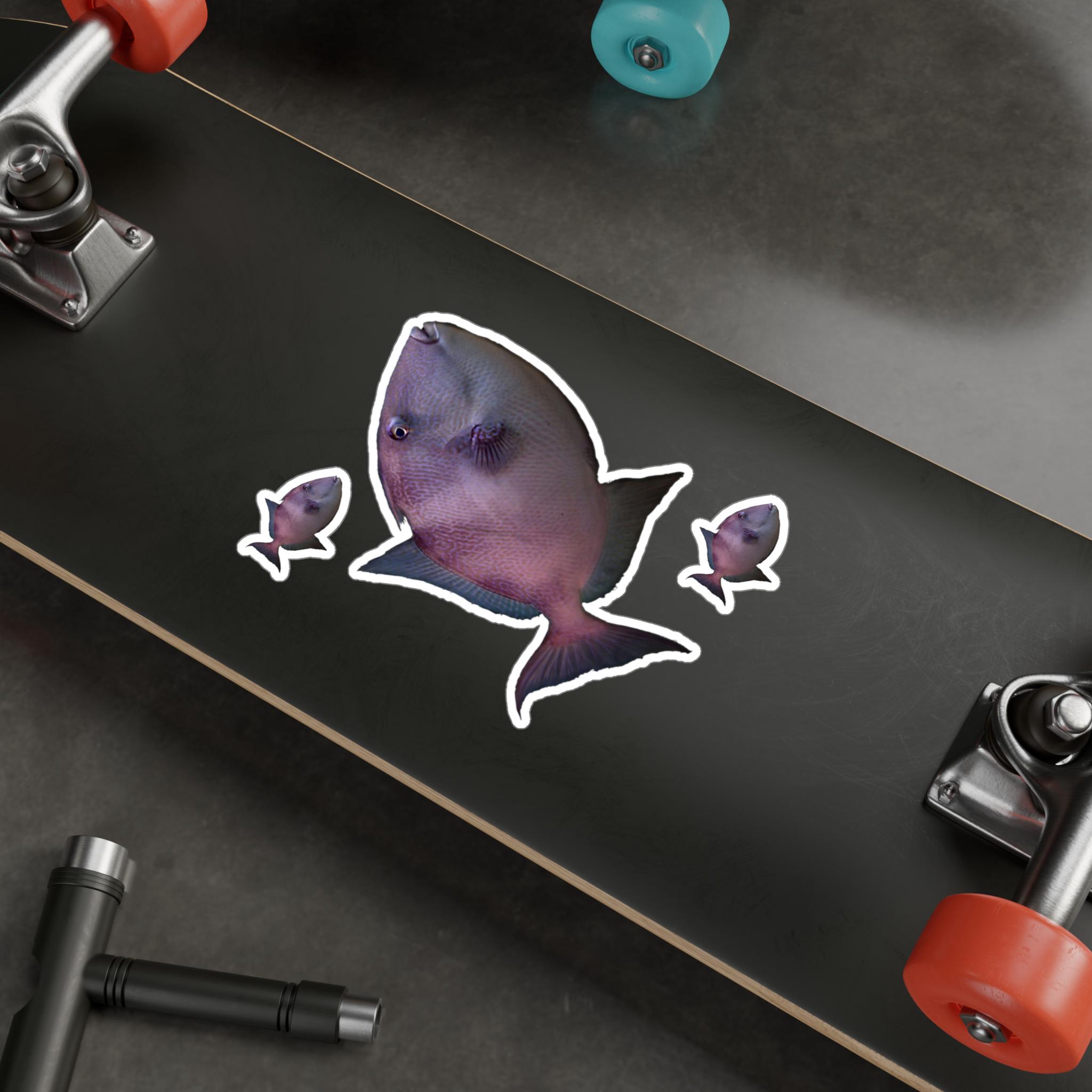 Realistic Trigger Fish Vinyl Decal | Nautical Home Decor - Etsy