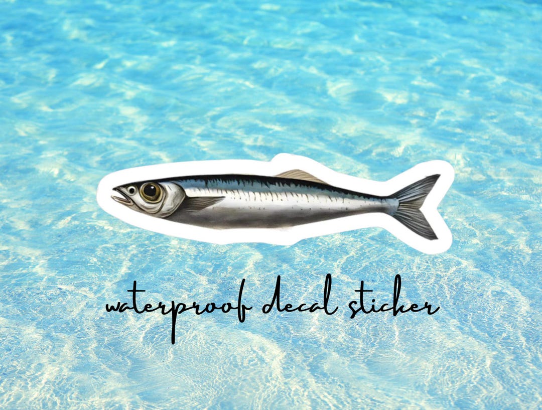 Sardine Fish Vinyl Decals, Sardine Decal, Sardine Sticker, Water Bottle ...