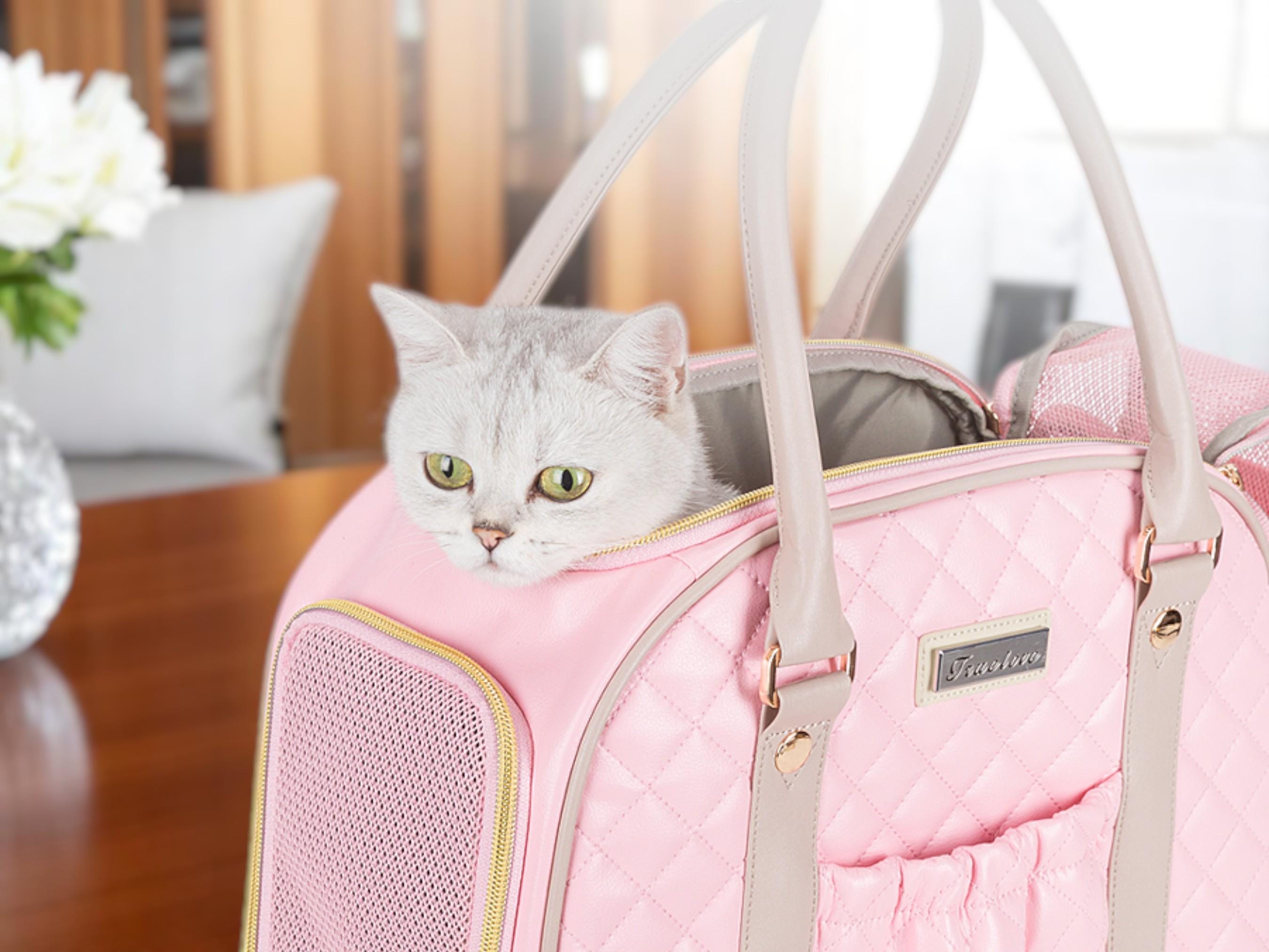 Portable Pet Travel Bag | Dog & Cat Sling Carrier | Lightweight Fashion ...