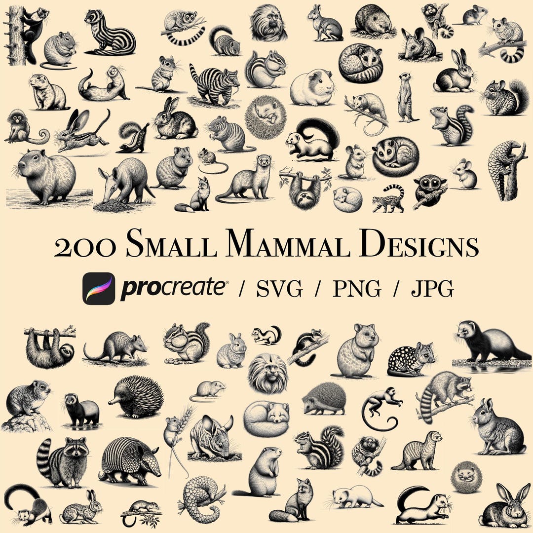 200 Small Mammal Designs – SVG, PNG, JPG & Procreate Stamps – Digital ...