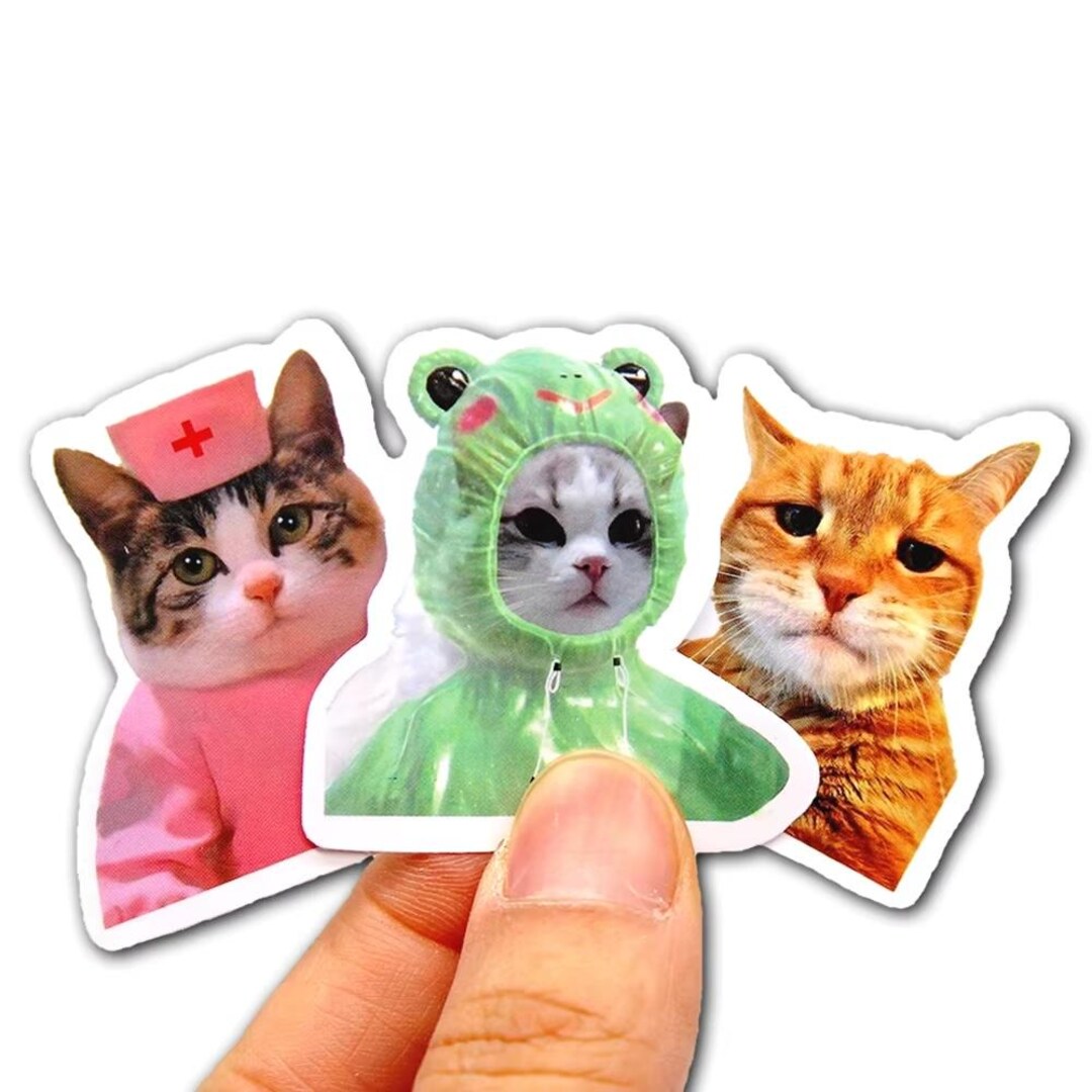 Funny Cat Meme Stickers Mystery Pack (10pcs) – Cute Waterproof Vinyl ...