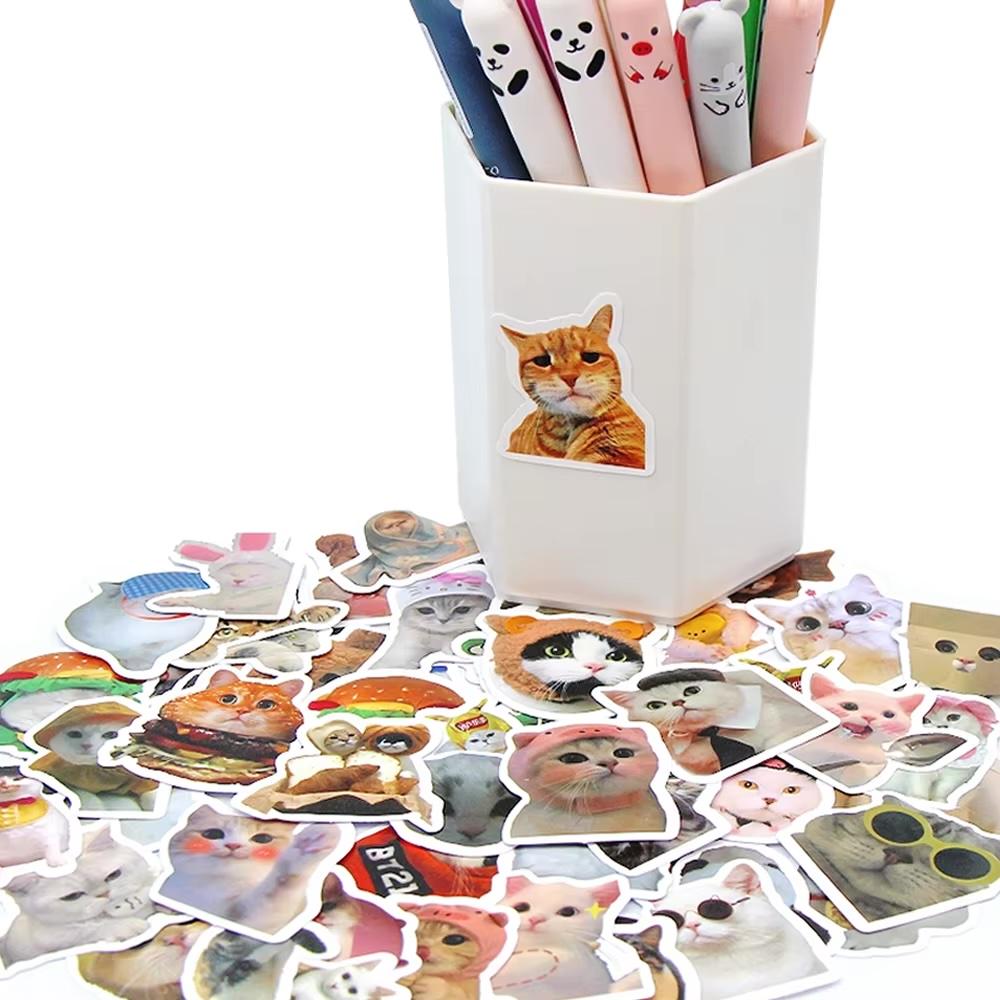 Funny Cat Meme Stickers Mystery Pack (5pcs): Waterproof Vinyl Decals - Etsy