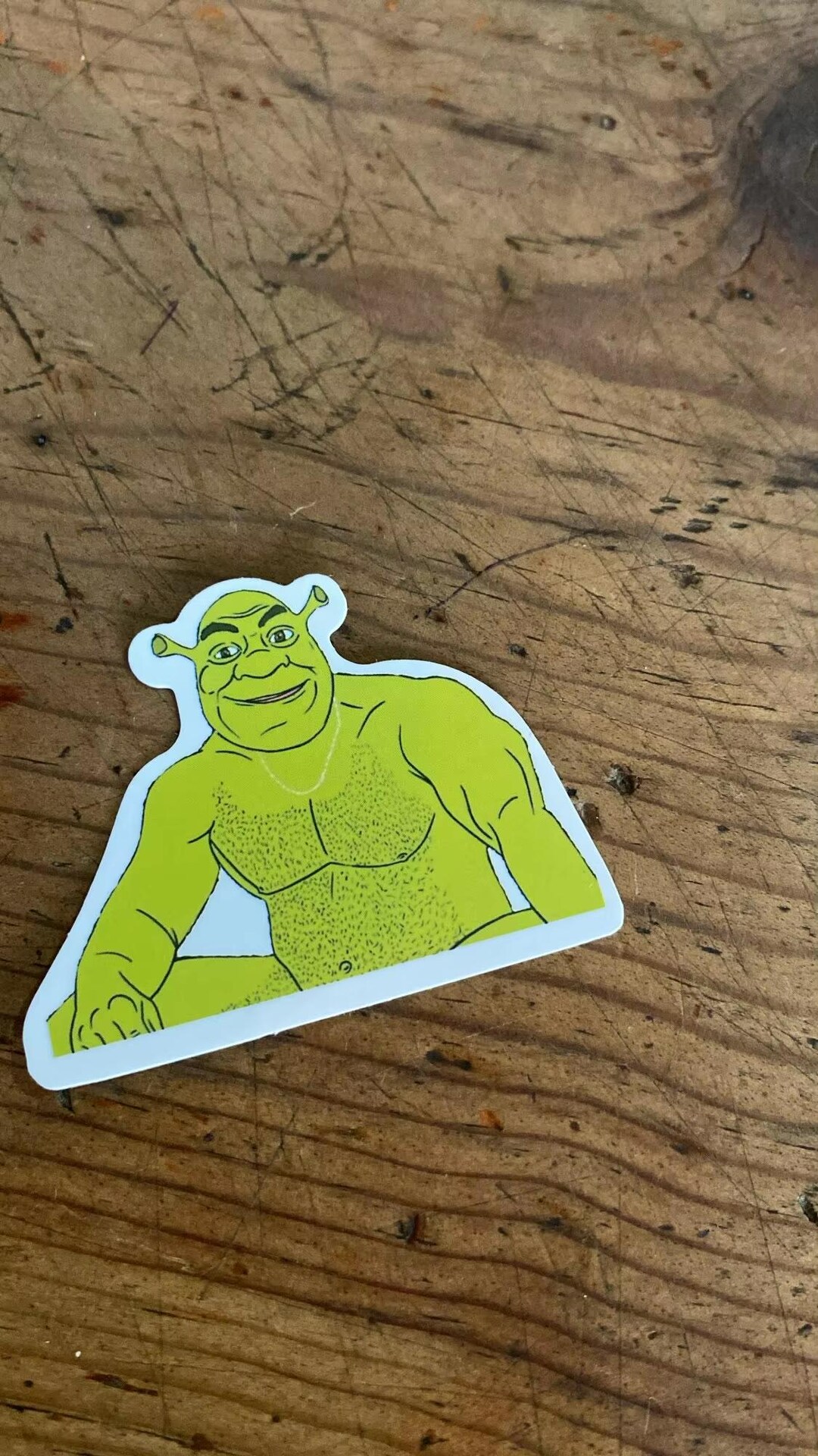 Shrek Meme Stickers: Funny Waterproof Vinyl Decals (10pcs) - Etsy