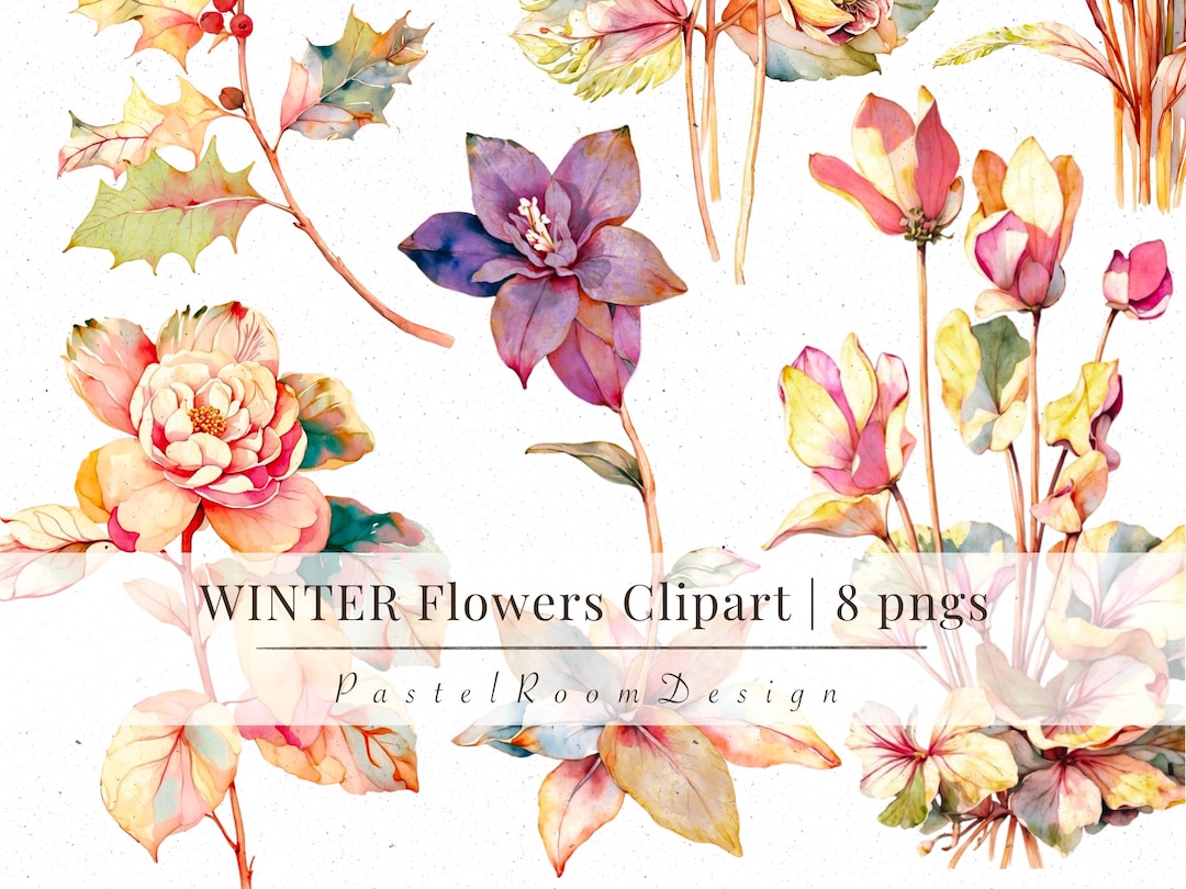 Watercolor Winter Flowers Clipart Bundle / 8 Pngs / Transparent ...