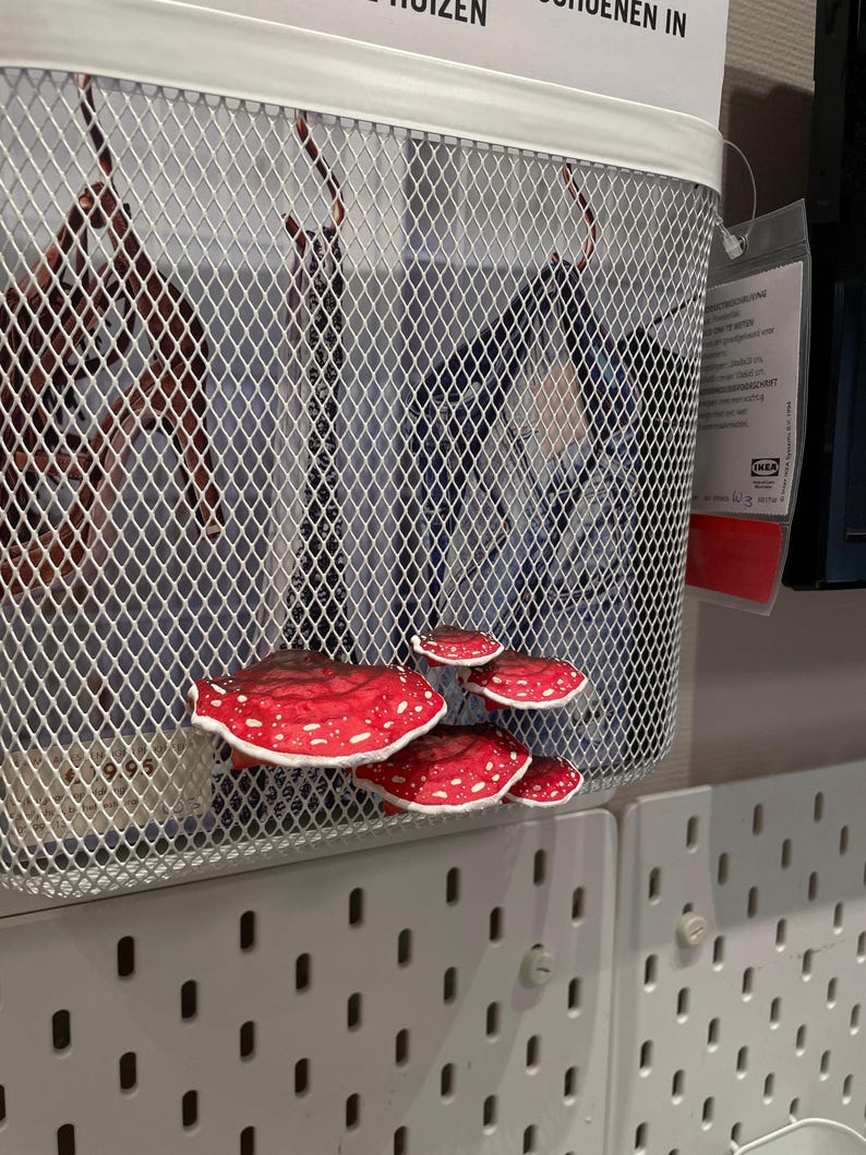 Mushroom Magnets, 3D Fridge Magnets, Set of 5 Red Amanita - Etsy