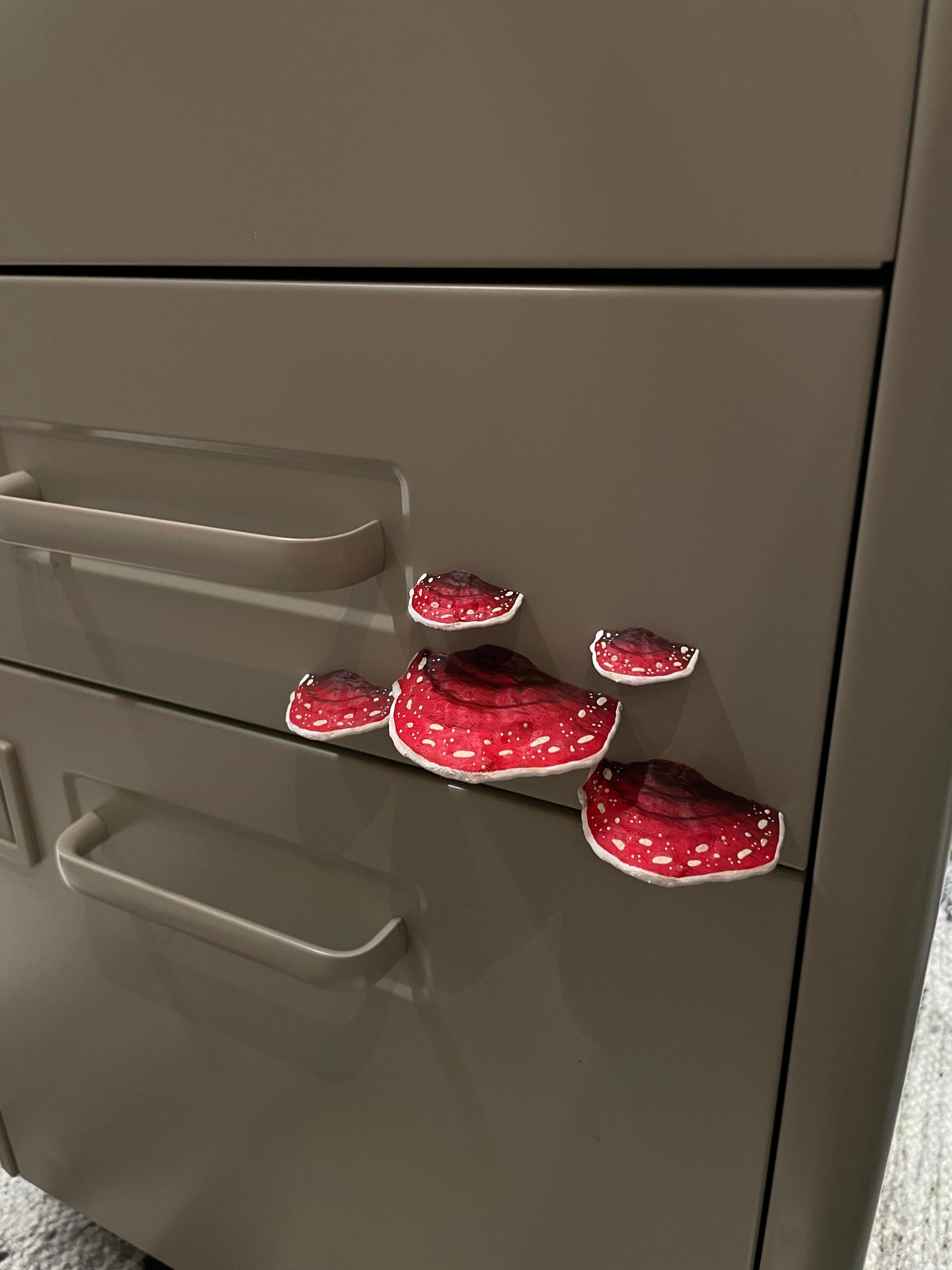 Mushroom Magnets, 3D Fridge Magnets, Set of 5 Red Amanita - Etsy