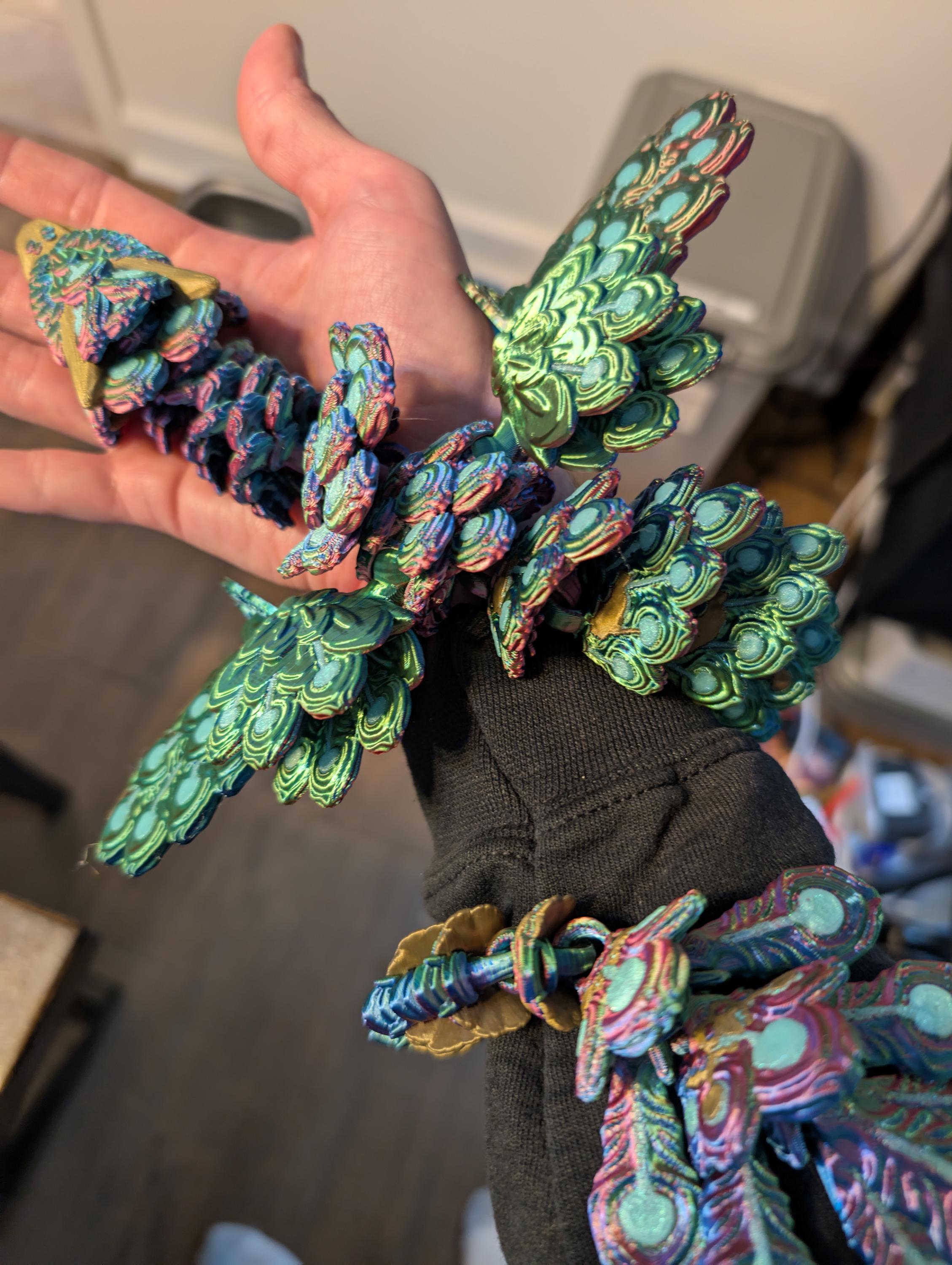 Cinderwing Winged Peacock Dragon - Adult - Etsy