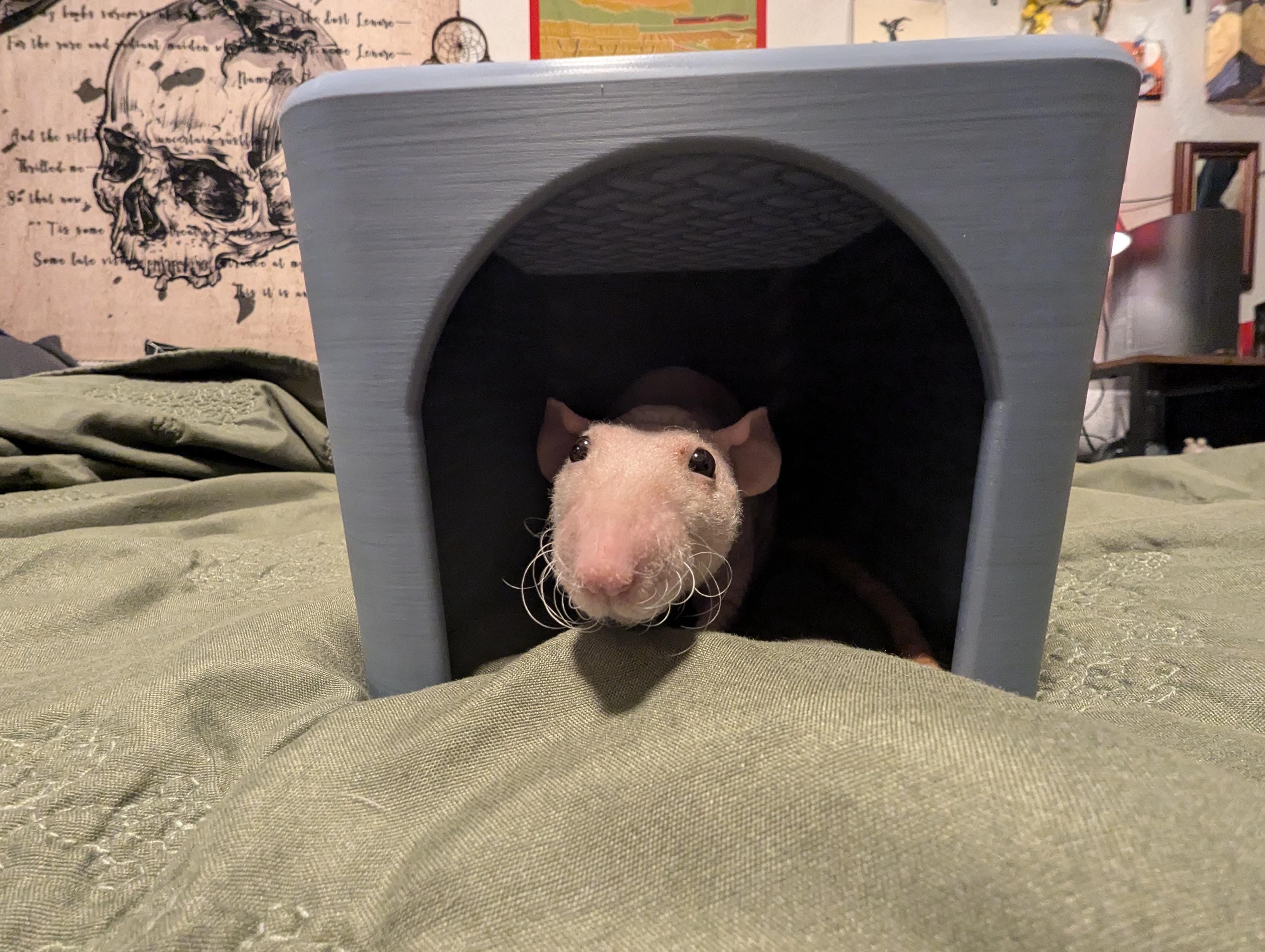 The Rat Cave standard Width Small Animal Hideaway / Home - Etsy