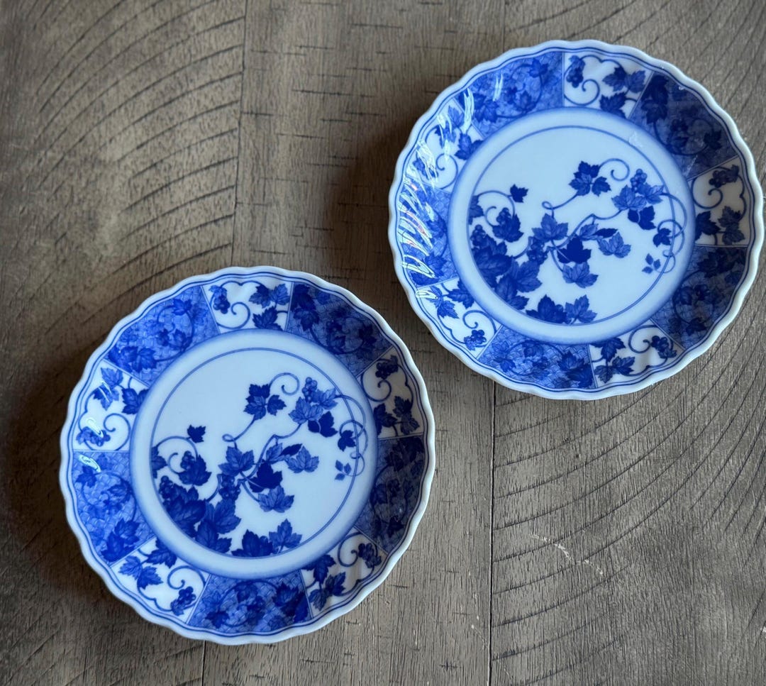 Vintage Blue and White China Plates Set of 2 - Etsy