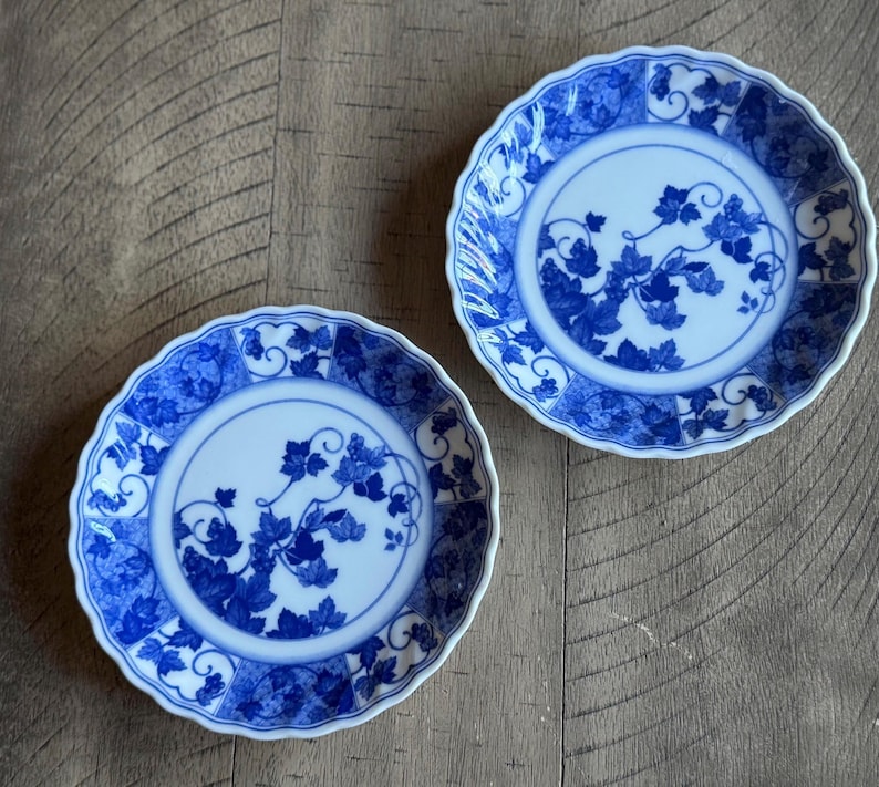 Vintage Blue and White China Plates Set of 2 - Etsy