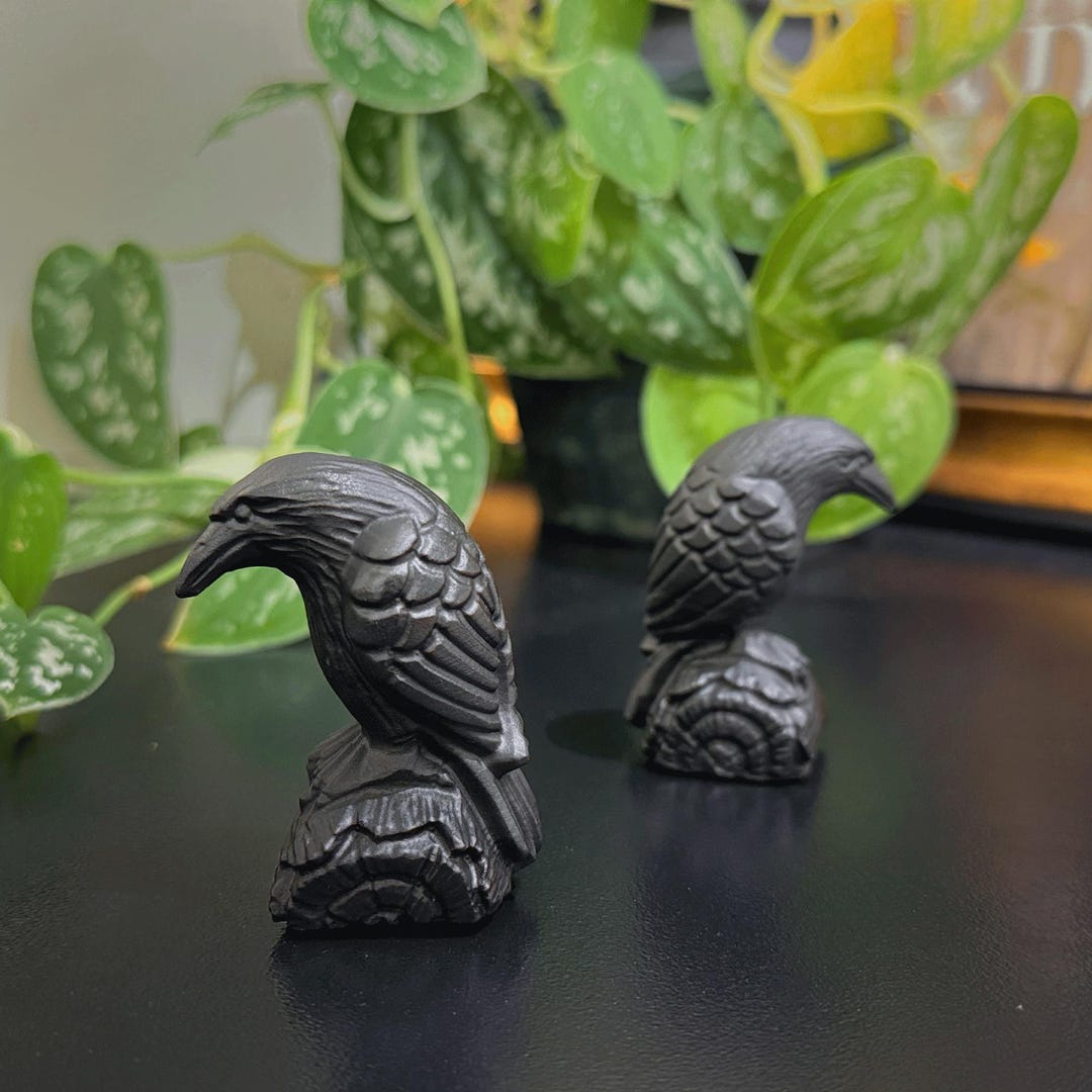 2.4" Matte Black Obsidian Raven Carving: Handcrafted Crystal Spirit ...
