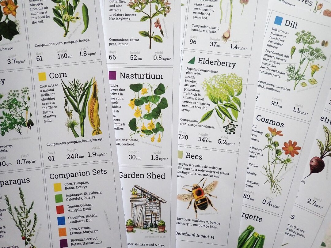 72 Garden Match Game Cards - Etsy
