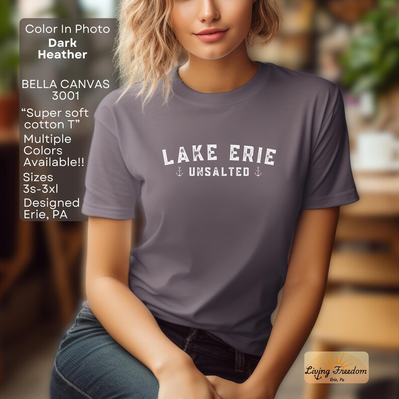 Lake Erie Unsalted Bella Canvas T-shirt: Nautical Graphic Tee - Etsy