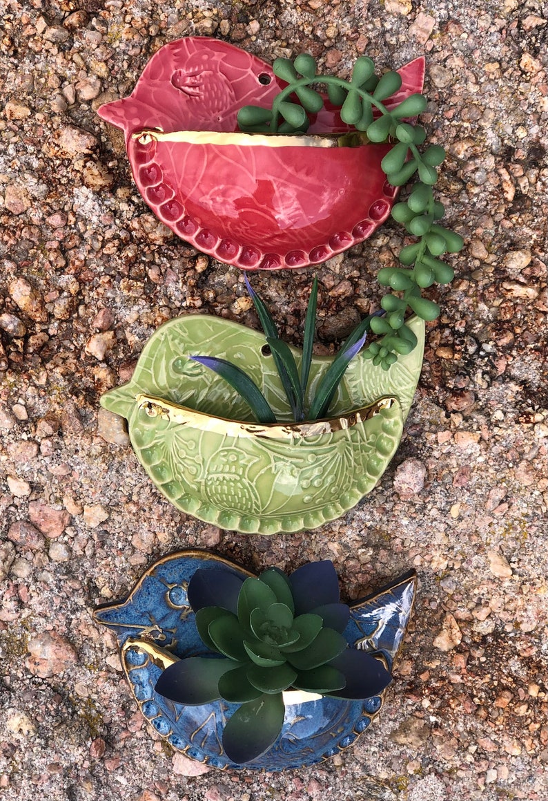 Air Plant Wall Pockets With 14 Karat Gold Trim / NEW BLING - Etsy