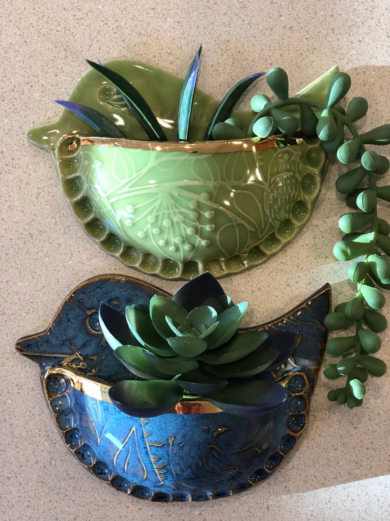 Air Plant Wall Pockets With 14 Karat Gold Trim / NEW BLING - Etsy