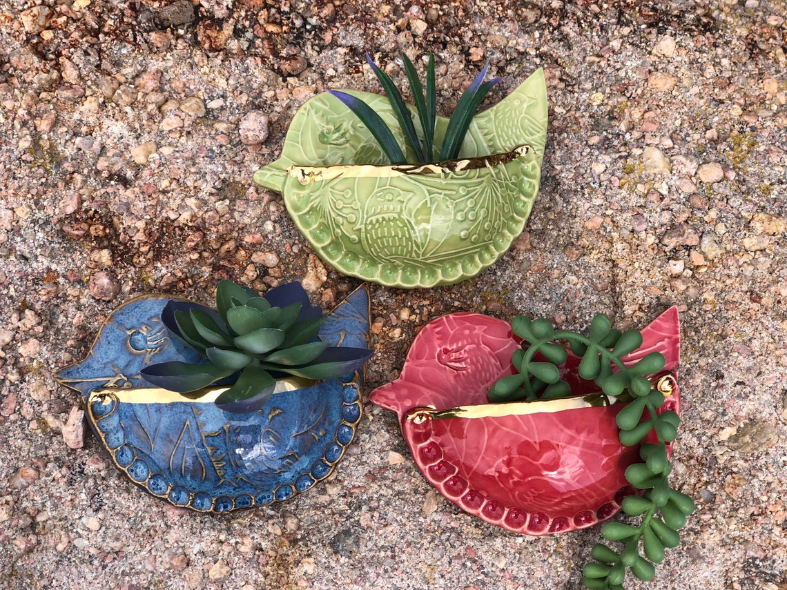 Air Plant Wall Pockets With 14 Karat Gold Trim / NEW BLING - Etsy