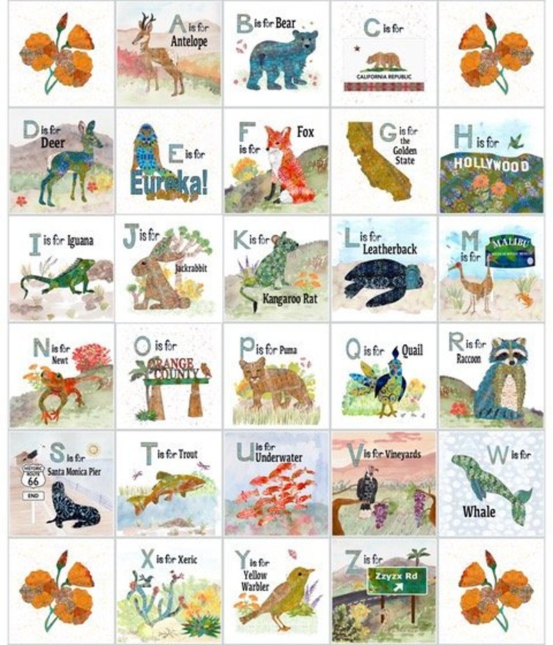 Desert Bird California Abcs Fabric Panel - Hip Stitch Exclusive - Etsy