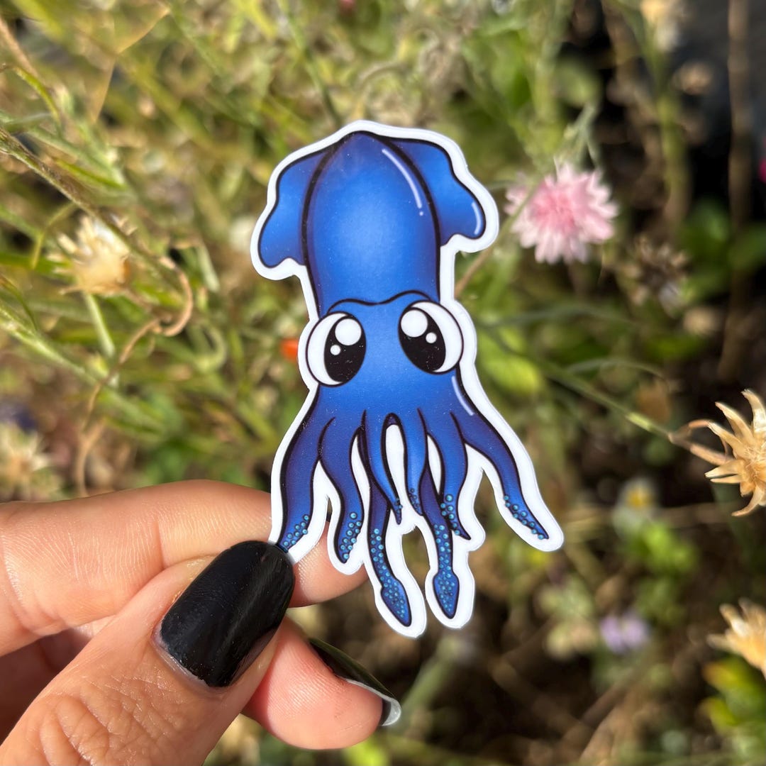 Squid, Sticker, Decal - Etsy