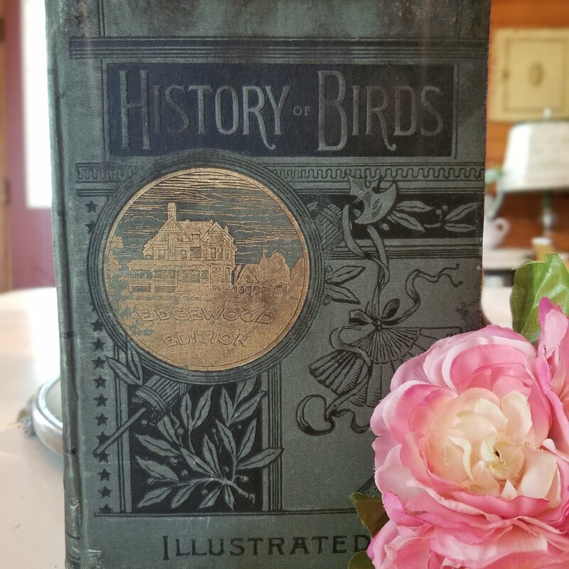 Vintage Bird Book - Etsy