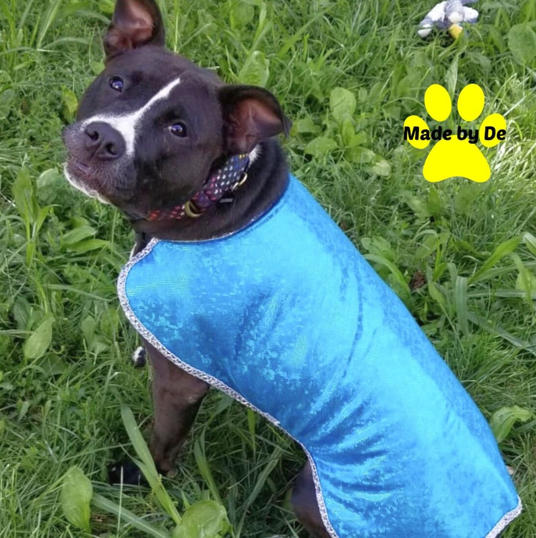 Dog Cool Coat and Collar, Show Dog Cool Coat, Showdog Chiller Cool Coat ...