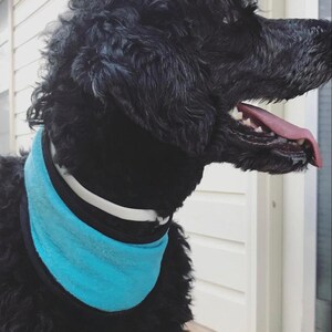 Custom Dog Cooling Collar: Chiller Collar With Ice Pocket for Summer - Etsy