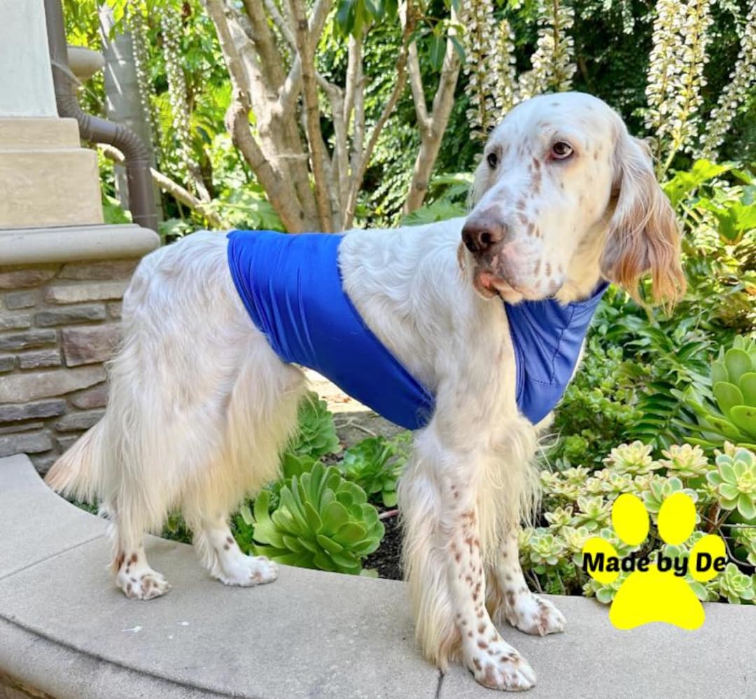 Spandex Dog Pee Coat: Belly Protector for Long-haired Dogs - Etsy