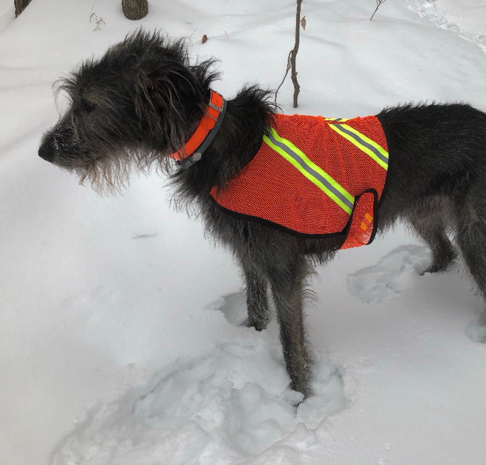Dog Safety Vest Custom Dog Vest Reflective Dog Vest | Etsy
