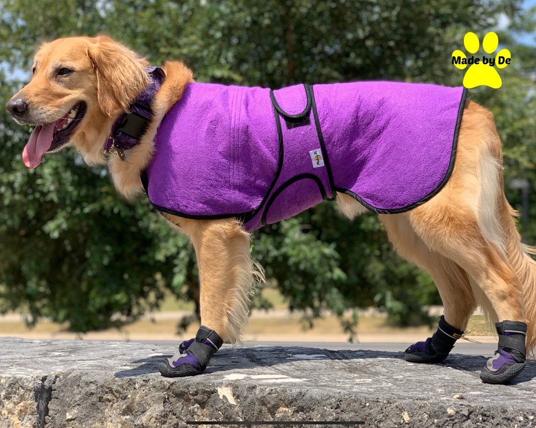 Dog Cool Coat and Collar, Dog Cool Coat Plus, Chiller Plus Cool Coat ...