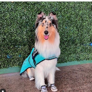 Dog Cool Coat and Collar, Chiller Cool Coat, Custom Dog Cooling Coat ...