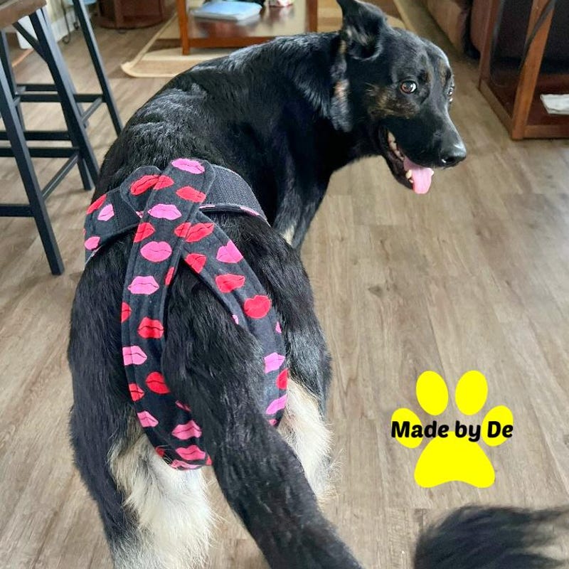 Custom Fit Dog Diaper - Etsy