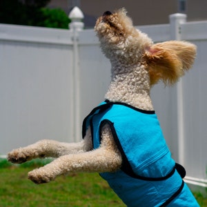 Dog Cool Coat and Matching Collar, Chiller Plus Cool Coat, Custom Dog ...