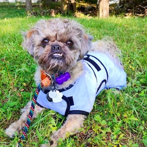 Dog Cool Coat and Matching Collar, Chiller Plus Cool Coat, Custom Dog ...