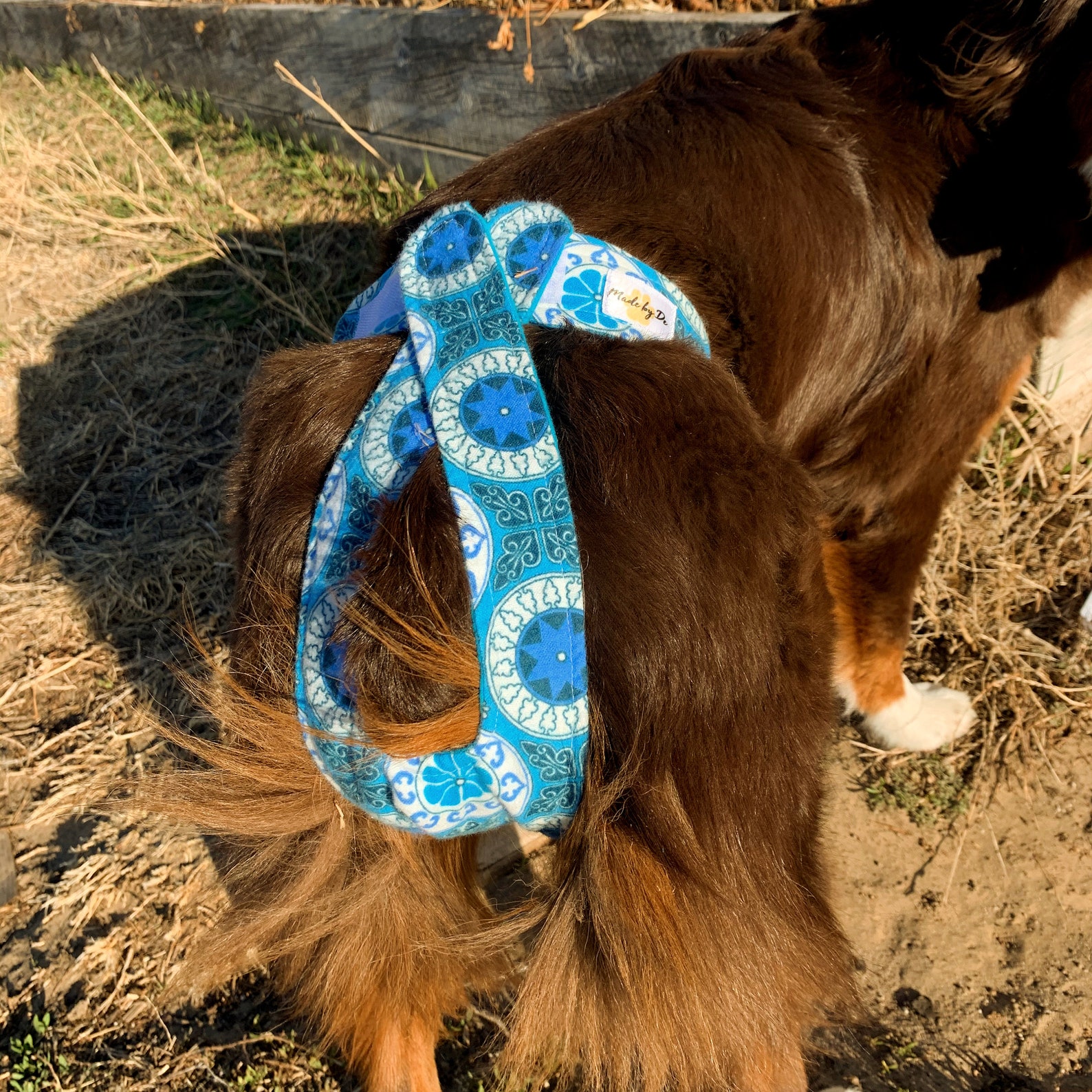 Great Fit Dog Diapers Bitch Britches Athletic Dog Britches - Etsy UK