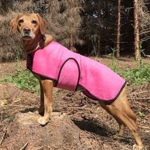 Dog Cool Coat and Collar, Chiller Cool Coat, Custom Dog Cooling Coat ...