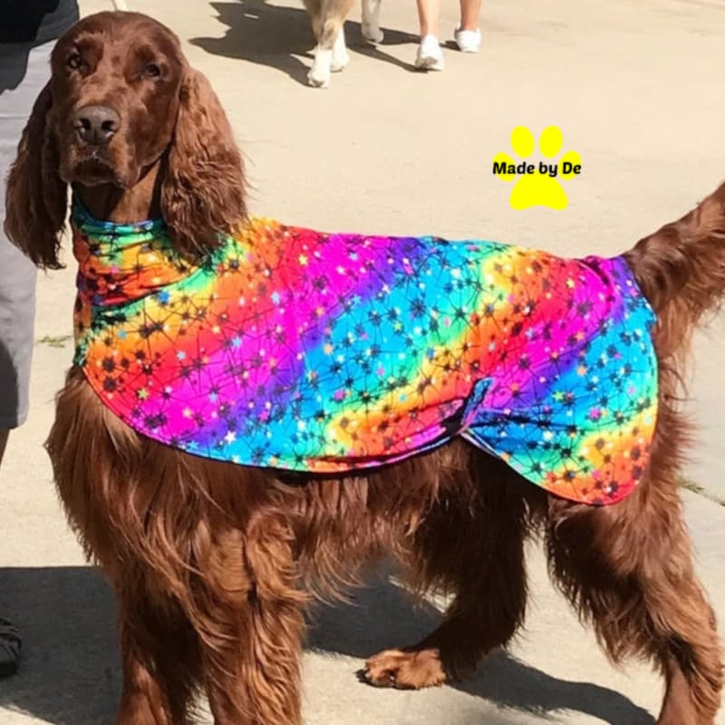Dog Suit - Etsy