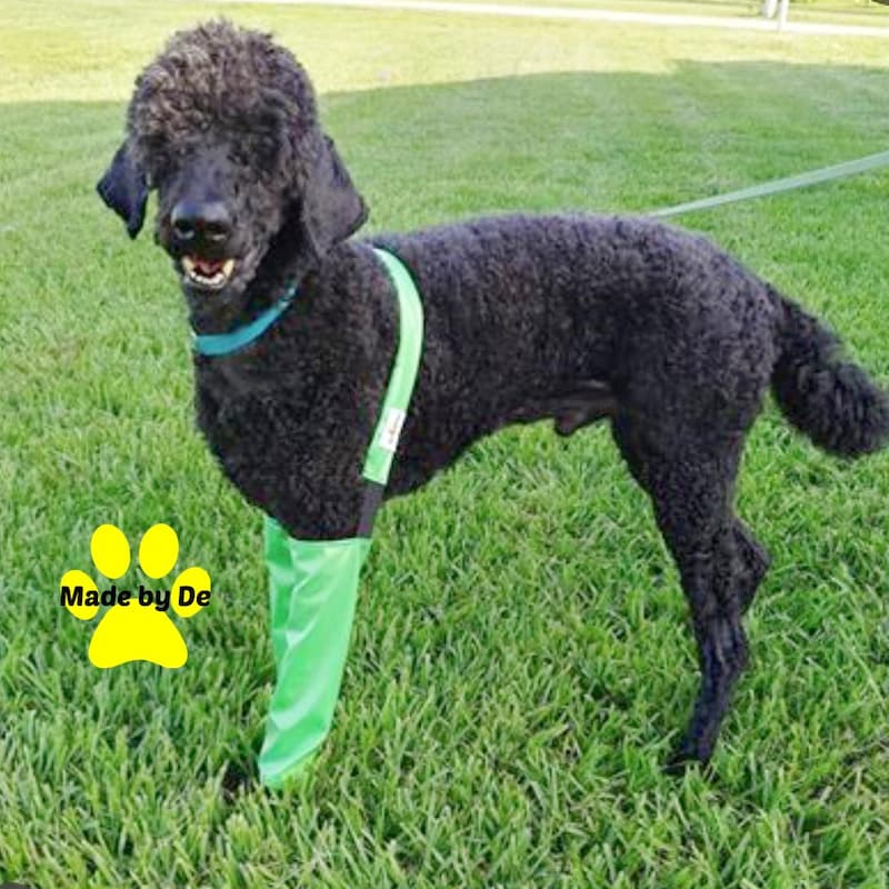Dog Leggings - Etsy
