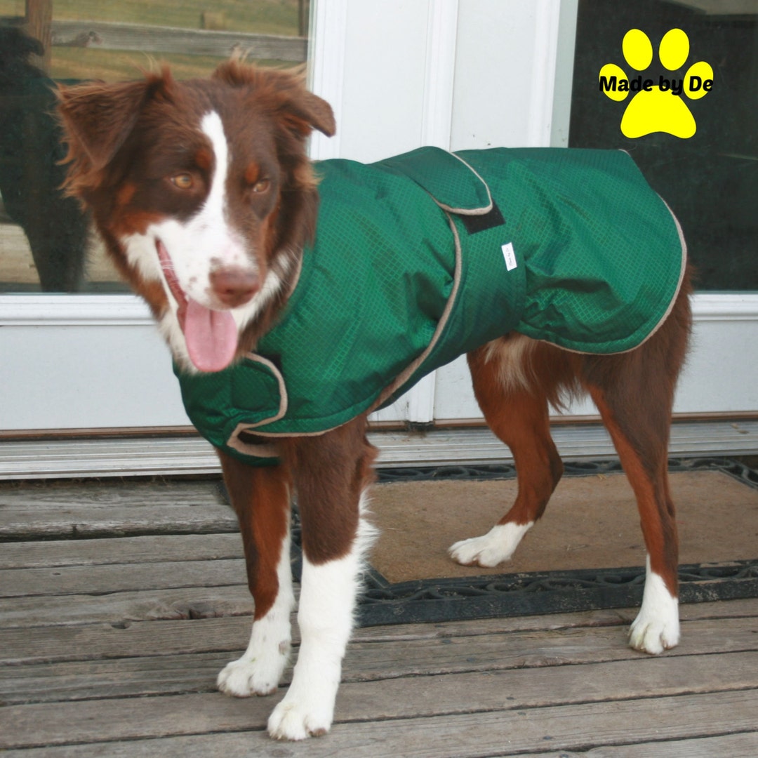 Custom Winter Dog Coat Extreme With Tummy Panel, Waterproof Ripstop ...