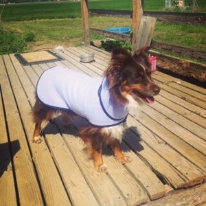 Dog Cool Collar, Chiller Cool Collar, Dog Cooler With Ice Pocket for ...