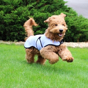 Dog Cool Coat and Collar, Chiller Cool Coat, Custom Dog Cooling Coat ...
