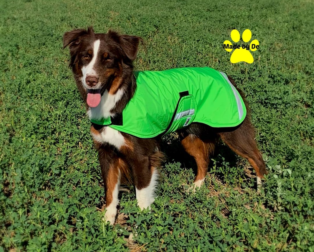 Custom Winter Dog Coat Ultra, Waterproof, Fleece Lined With Reflective ...