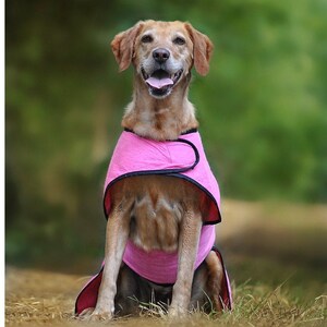 Dog Cool Coat and Collar, Chiller Cool Coat, Custom Dog Cooling Coat ...