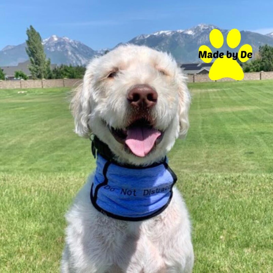 Dog Cool Collar, Chiller Cool Collar, Dog Cooler With Ice Pocket for ...