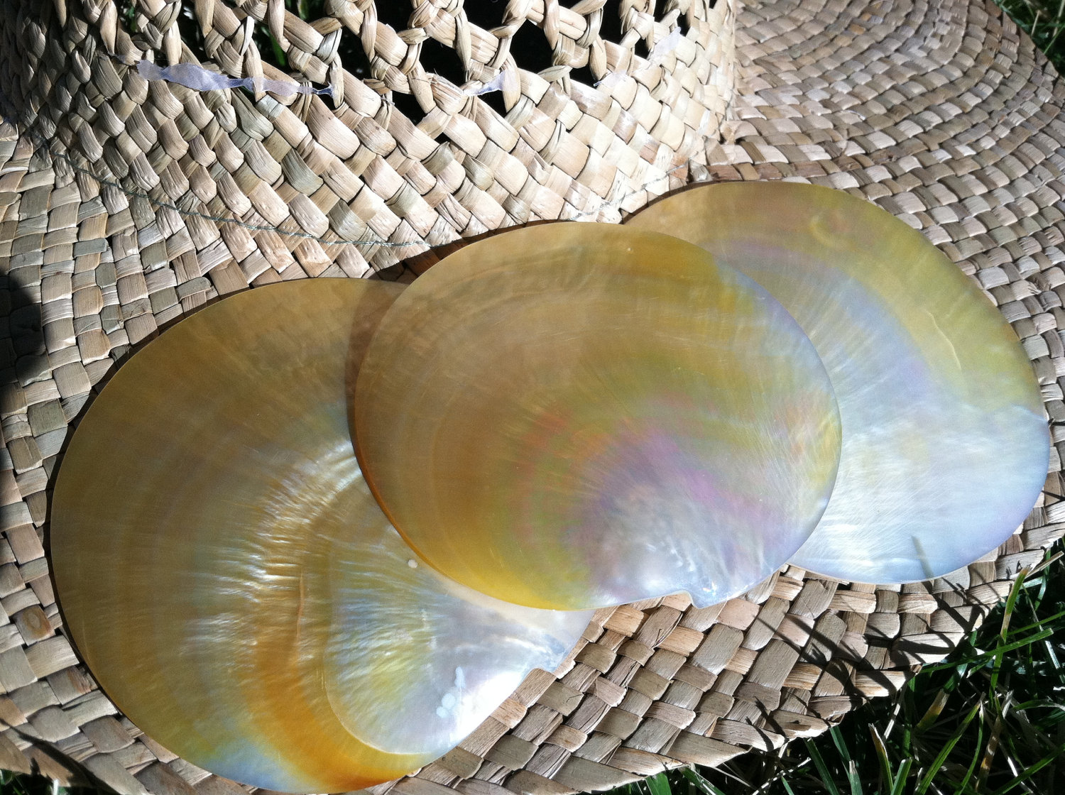 Gold Lip Mother of Pearl Round Shells 3.25” - Etsy
