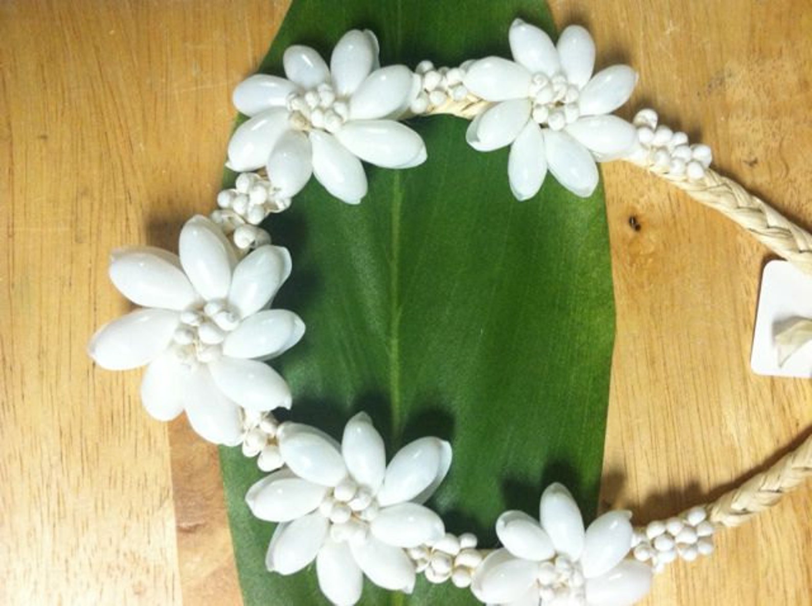 WHITE MONGO/BUBBLE Shell Necklace | Etsy