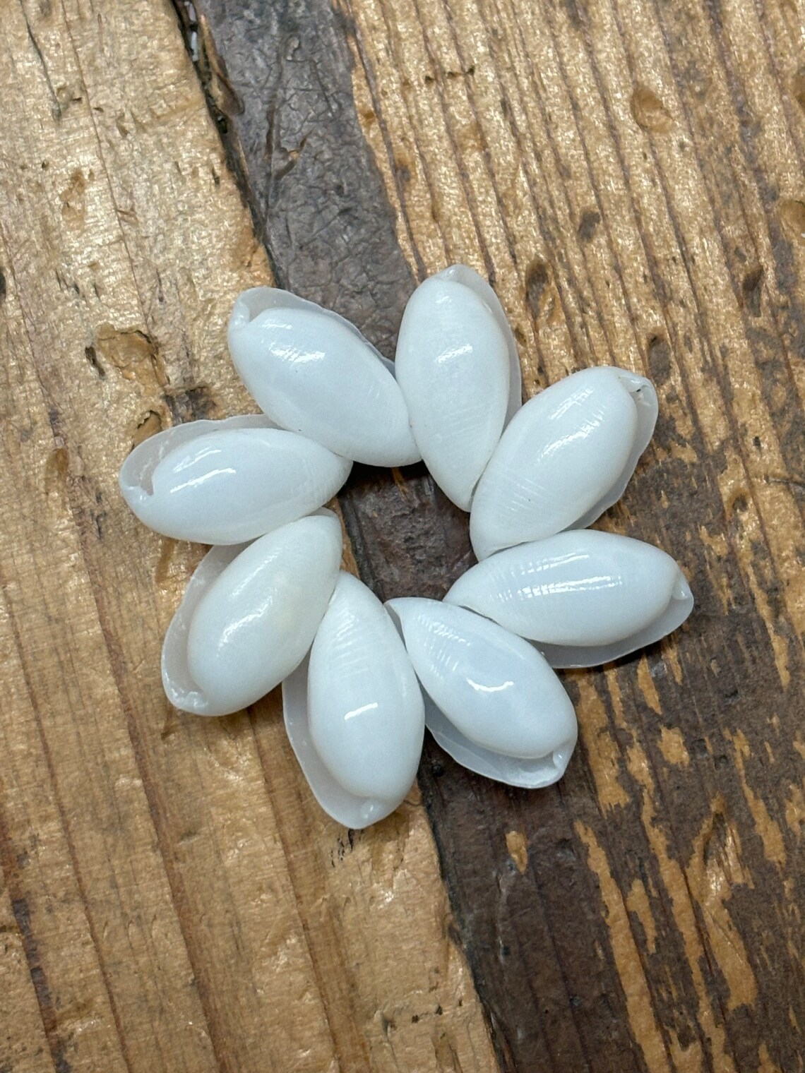 White Bubble Shell Rings - Etsy