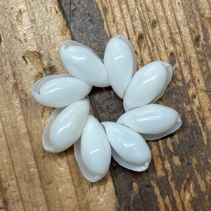 White Bubble Shell Rings - Etsy