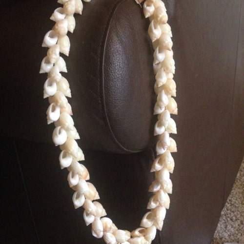 White Bubble Shell With White Mongo & Frog Shell Raffia - Etsy