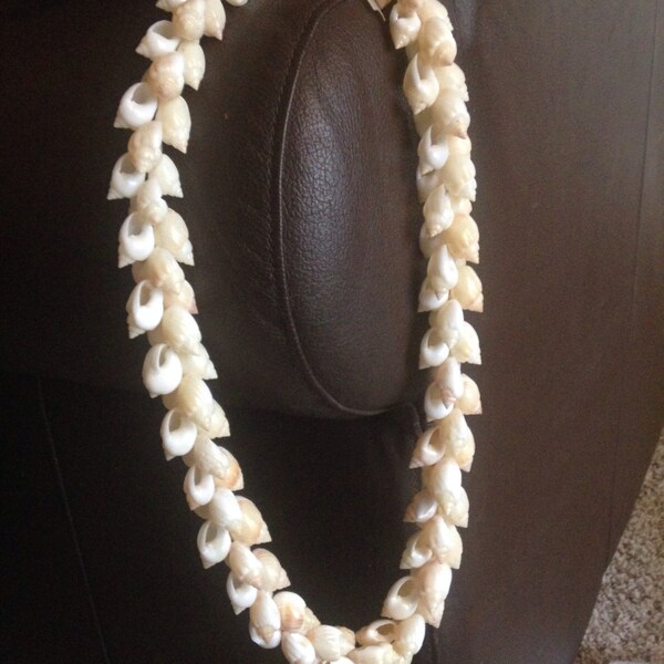 Shell Necklace - Etsy
